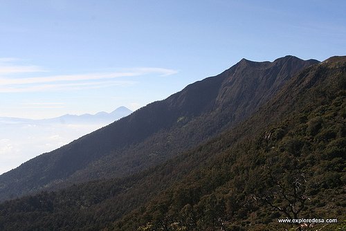 Mt Arjuno and Welirang Mountain Hiking | Volcano Expedition and Explore ...