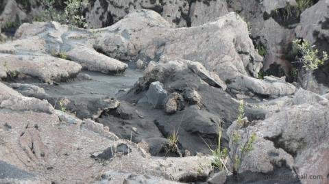 Dukono Volcano - North Molucas active Volcanoes | Volcano Expedition ...