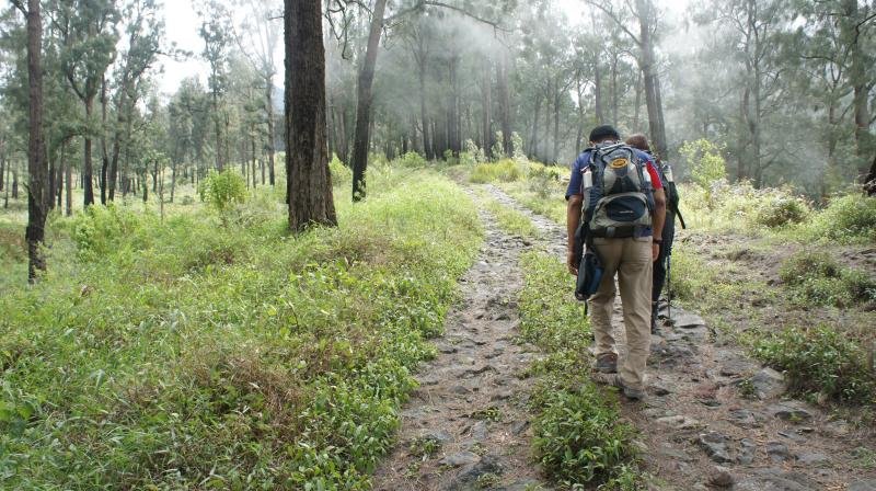 Climb Mount Arjuno and Welirang Mountain TrekkingNdeso Adventure ...